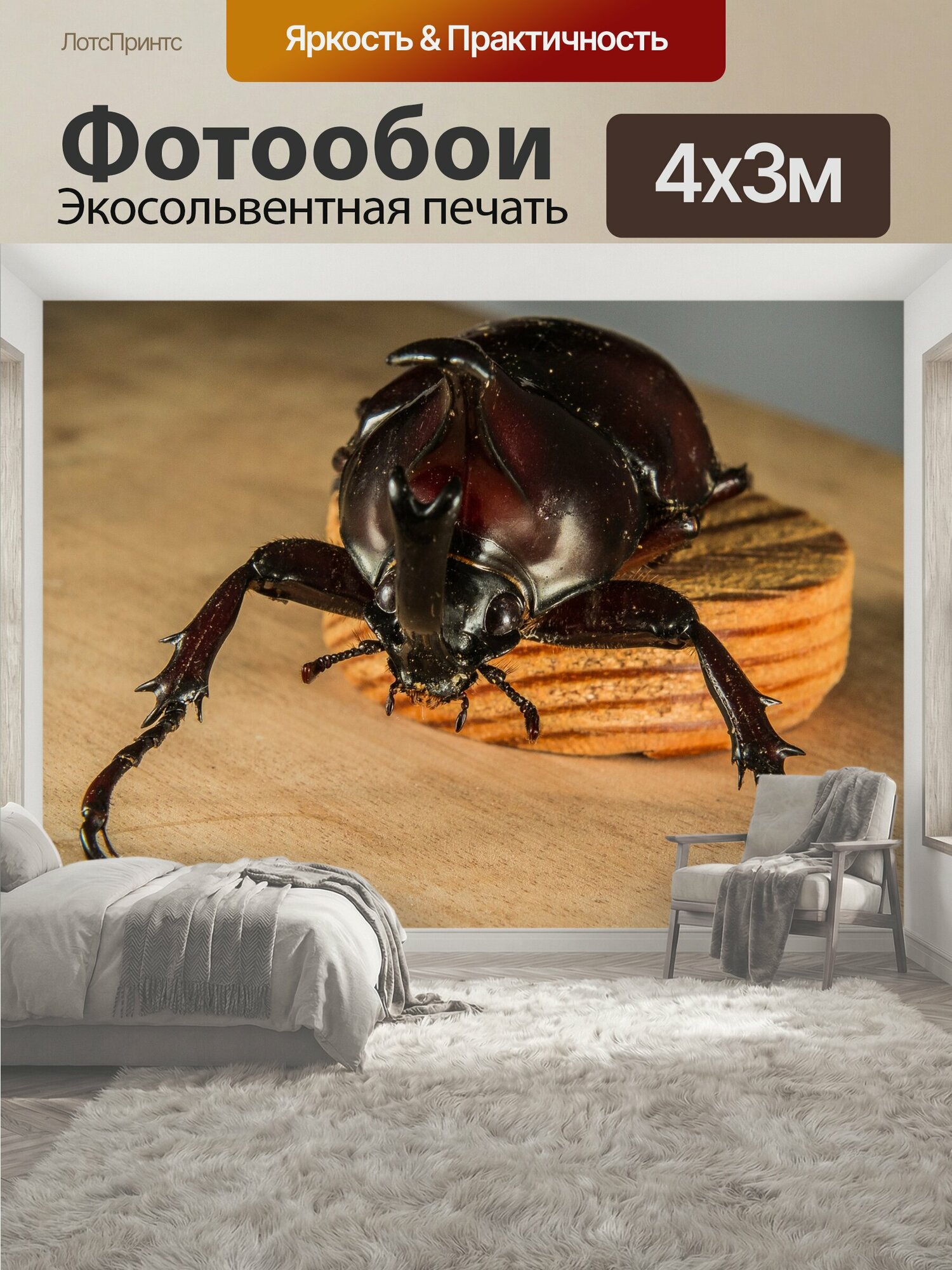 Фотообои "Тропических жуков, жук носорог, riesenkaefer" 400x300 см. экосольвентная печать