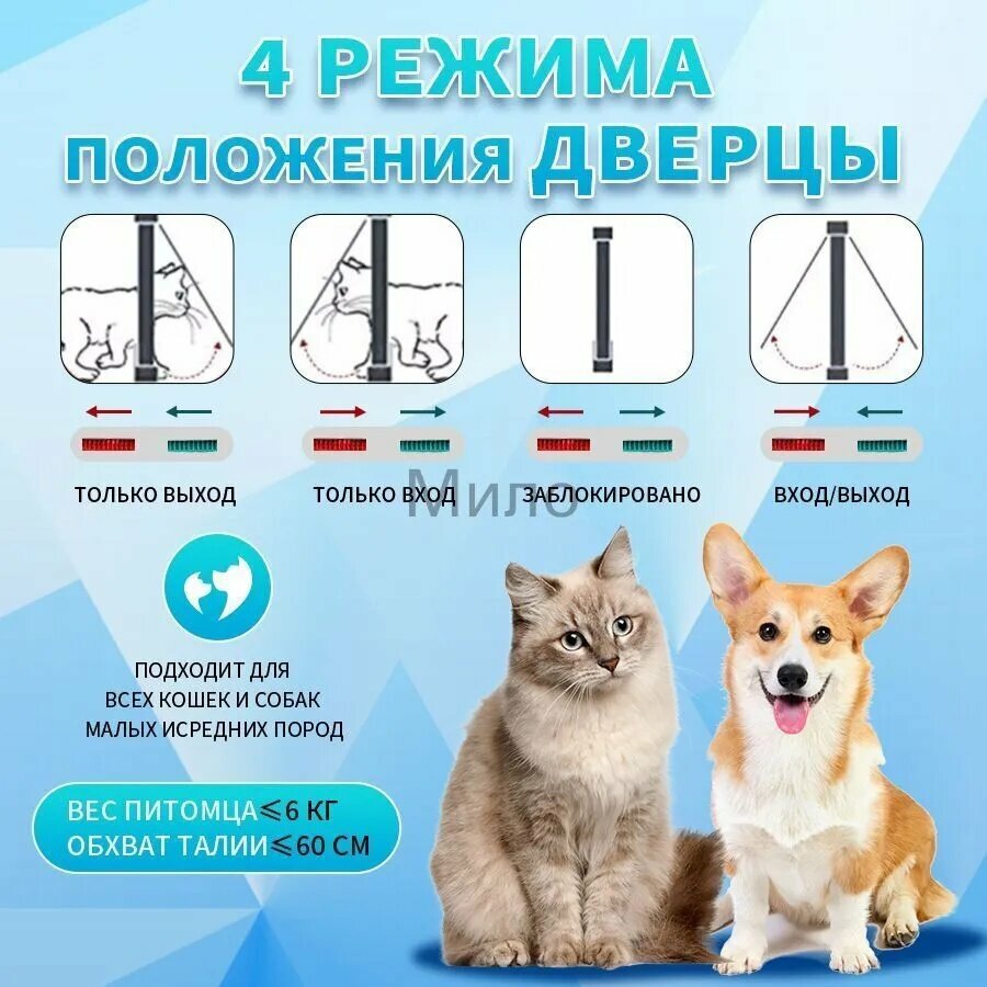 GEALFIS дверца для кошек с замком прозрачная двусторонняя люк для животных и клетки встроенный тоннель 25x23.5 см