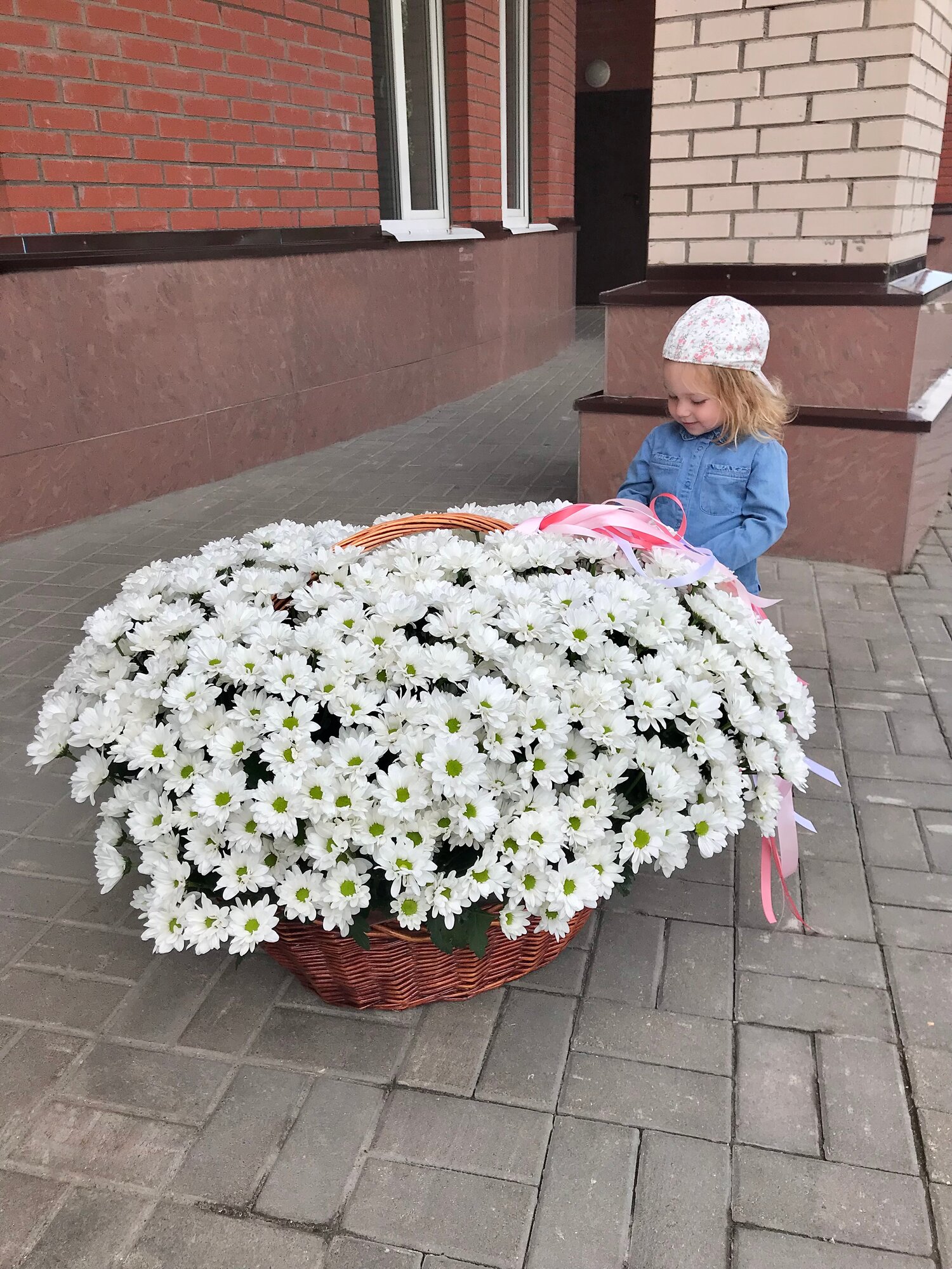 Огромная корзина ромашек , 101 ромашка, цветы в корзине, быстрая доставка