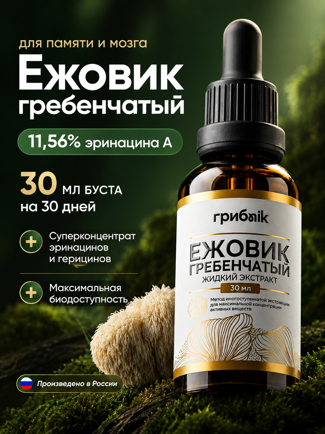 Ежовик гребенчатый жидкий экстракт мицелий 30 мл, от грибnik