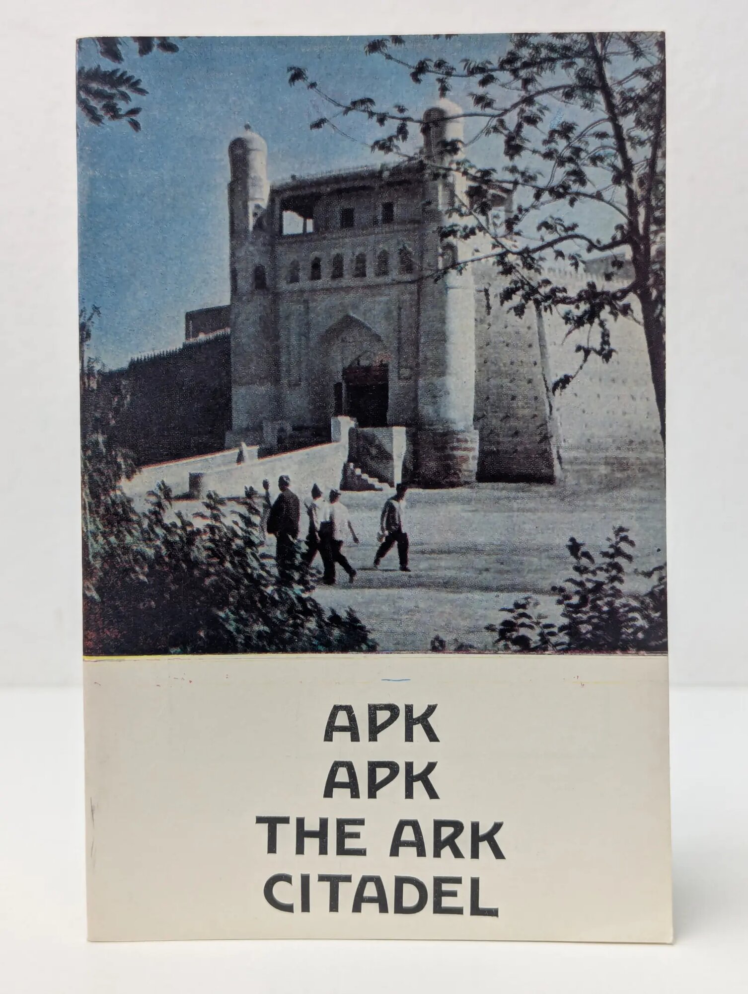 Арк. The Ark Citadel Чехович Ольга Дмитриевна 1976