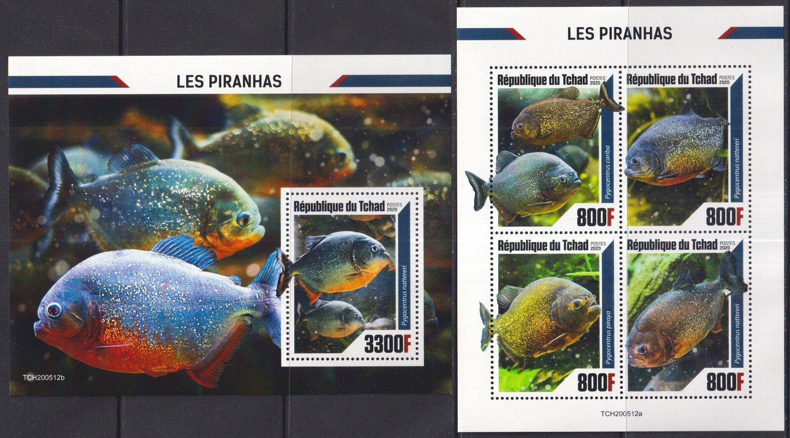 Марки 2020 год Чад Пираньи Рыбы Морская жизнь Фауна #4186-4189+Бл930 MNH