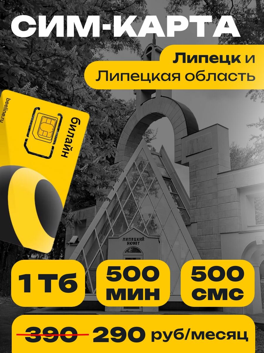 Сим-карта Билайн тариф Эксклюзивный Онлайн Лайт Липецкая область 1024 Гб + 500 минут за 290 руб.