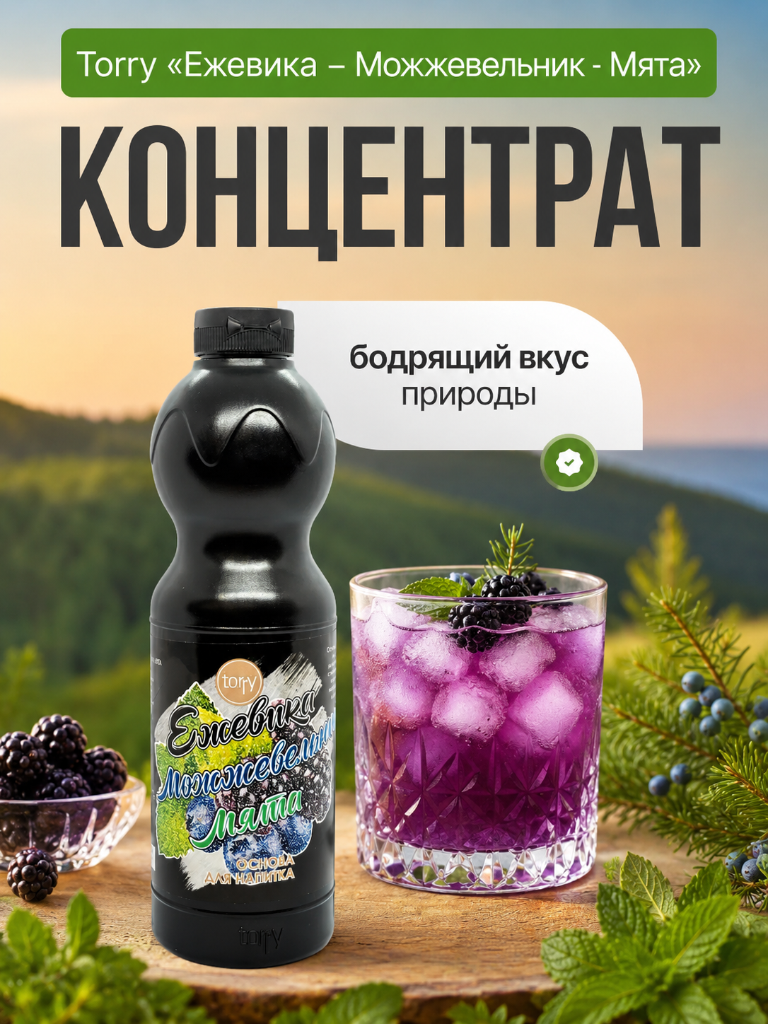Основа для напитков Torry "Ежевика Можжевельник Мята", натуральный состав, 1кг