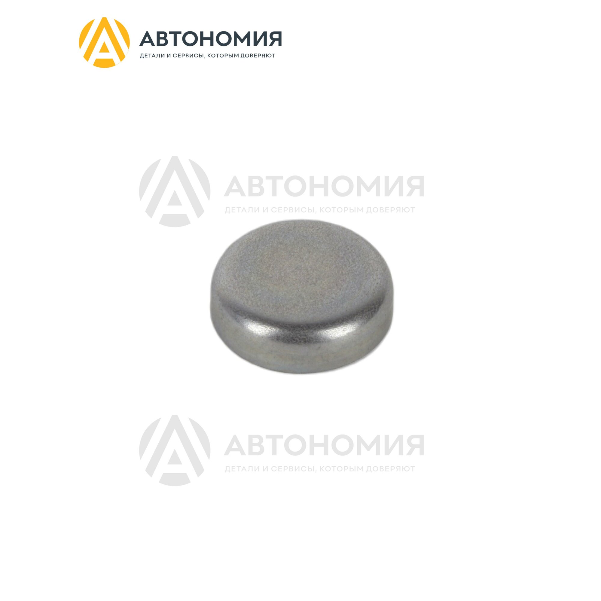 Заглушка блока цилиндров PSA Peugeot Citroen 0233.08
