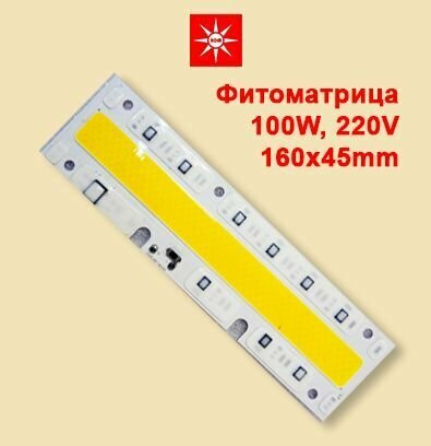 Светодиодная матрица RDM-100