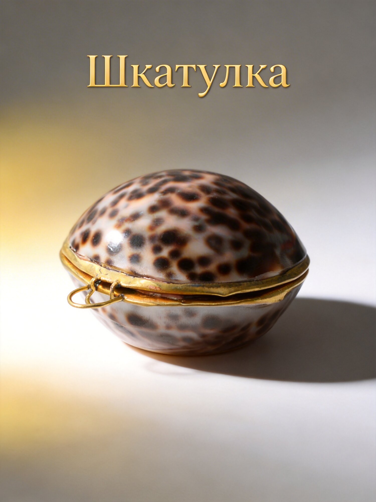 Коробка Для Ювелирных Изделий В Форме Ракушки 1 Шт Цвет Chocolate 6x6 См