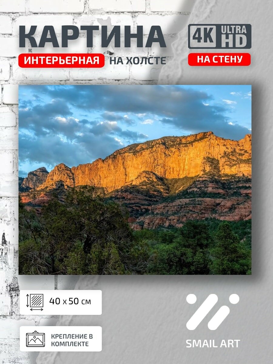Картина на холсте интерьерная 40 на 50 на стену Пейзаж Arizona для кабинета атмосфера