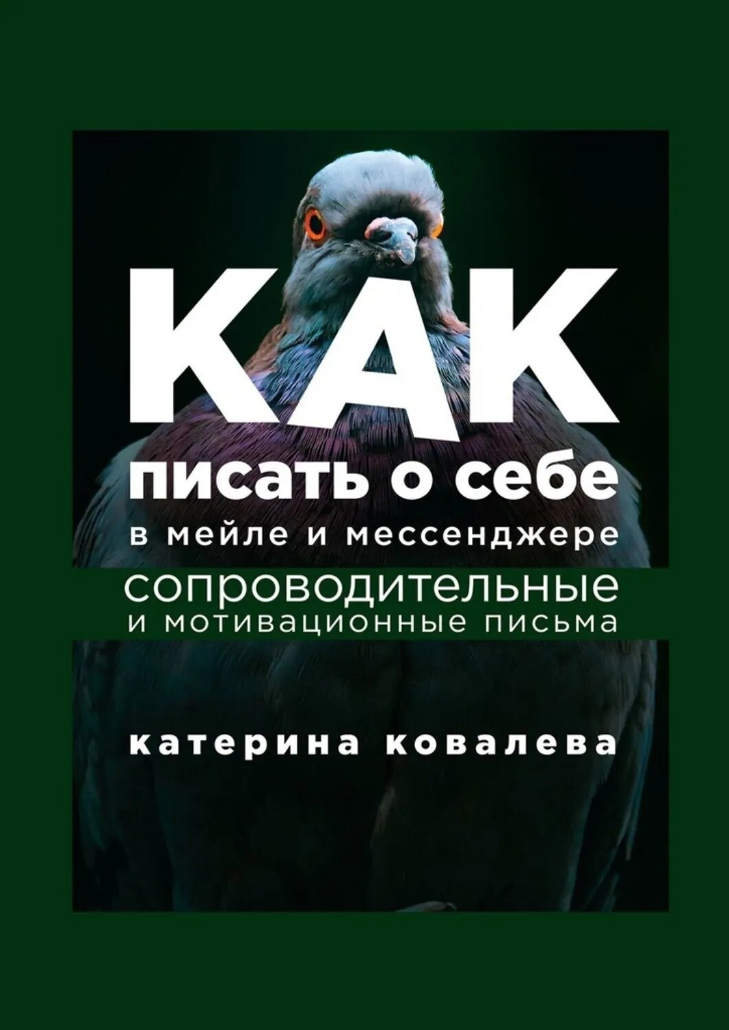 Как писать о себе в мейле и мессенджере. Сопроводительные и мотивационные письма [Цифровая книга]