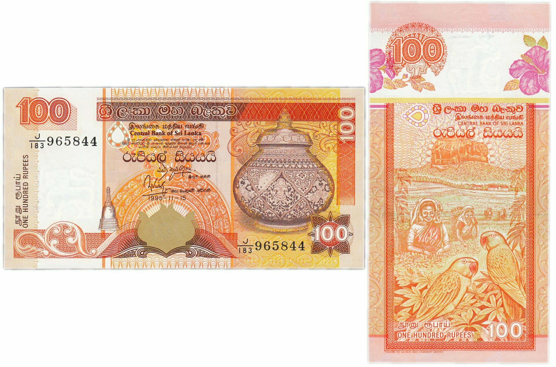 Шри-Ланка Цейлон 100 рупий 1995 года Р-111