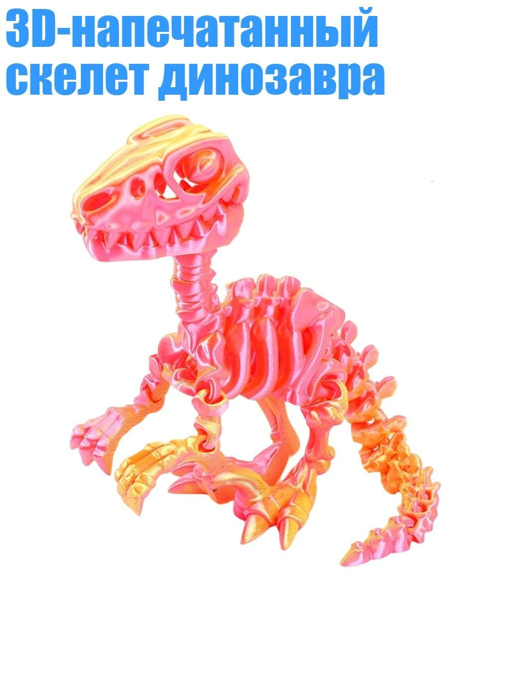 3D-напечатанный скелет динозавра, мини - 14