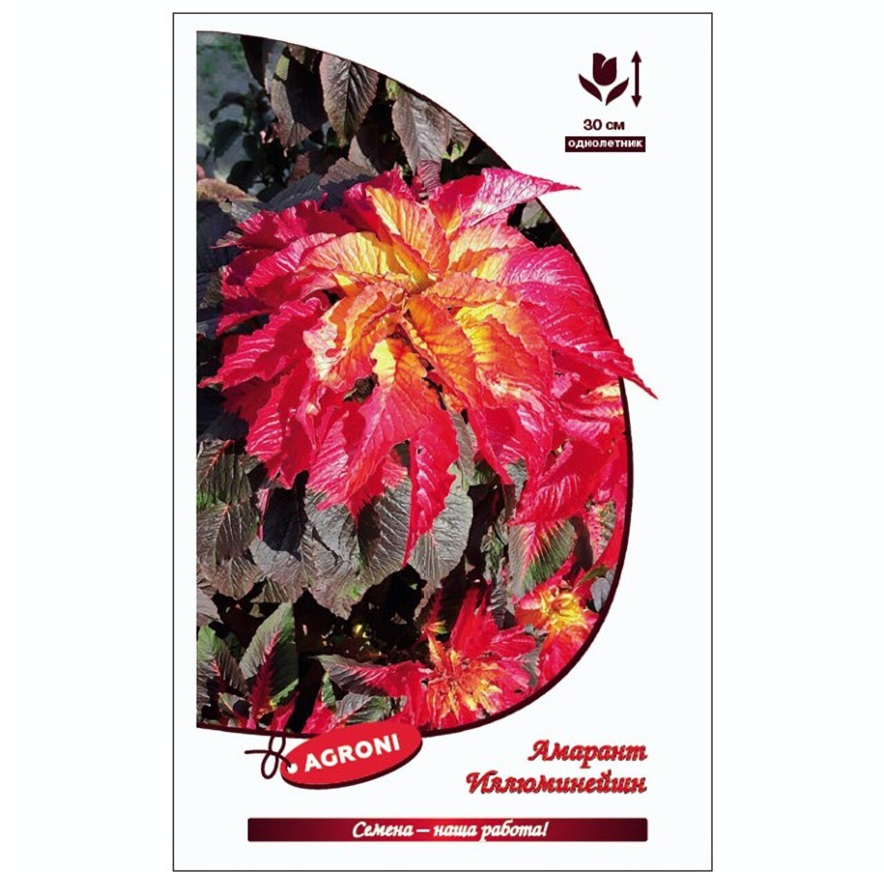 Семена Амарант Иллюмишейшн агрони 0,1г, для дачи, сада, огорода и на рассаду