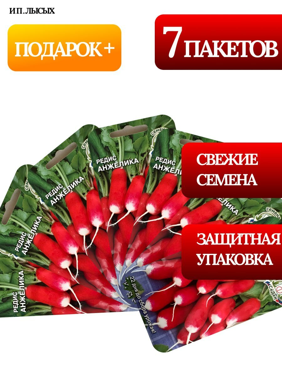 Семена Редис "Анжелика"