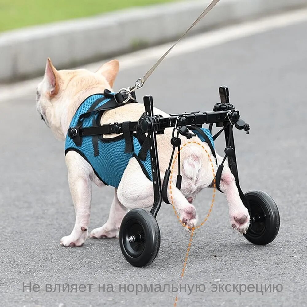 Инвалидная коляска для собак, Подходит для кошек Ходунки для собак, товары для животных-инвалидов Подходит для средних и маленьких пород,3 вида размеров можно регулировать, M-код