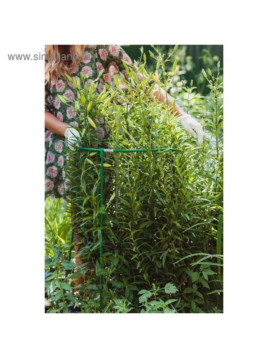 Стойка для кустов зеленая 50 см