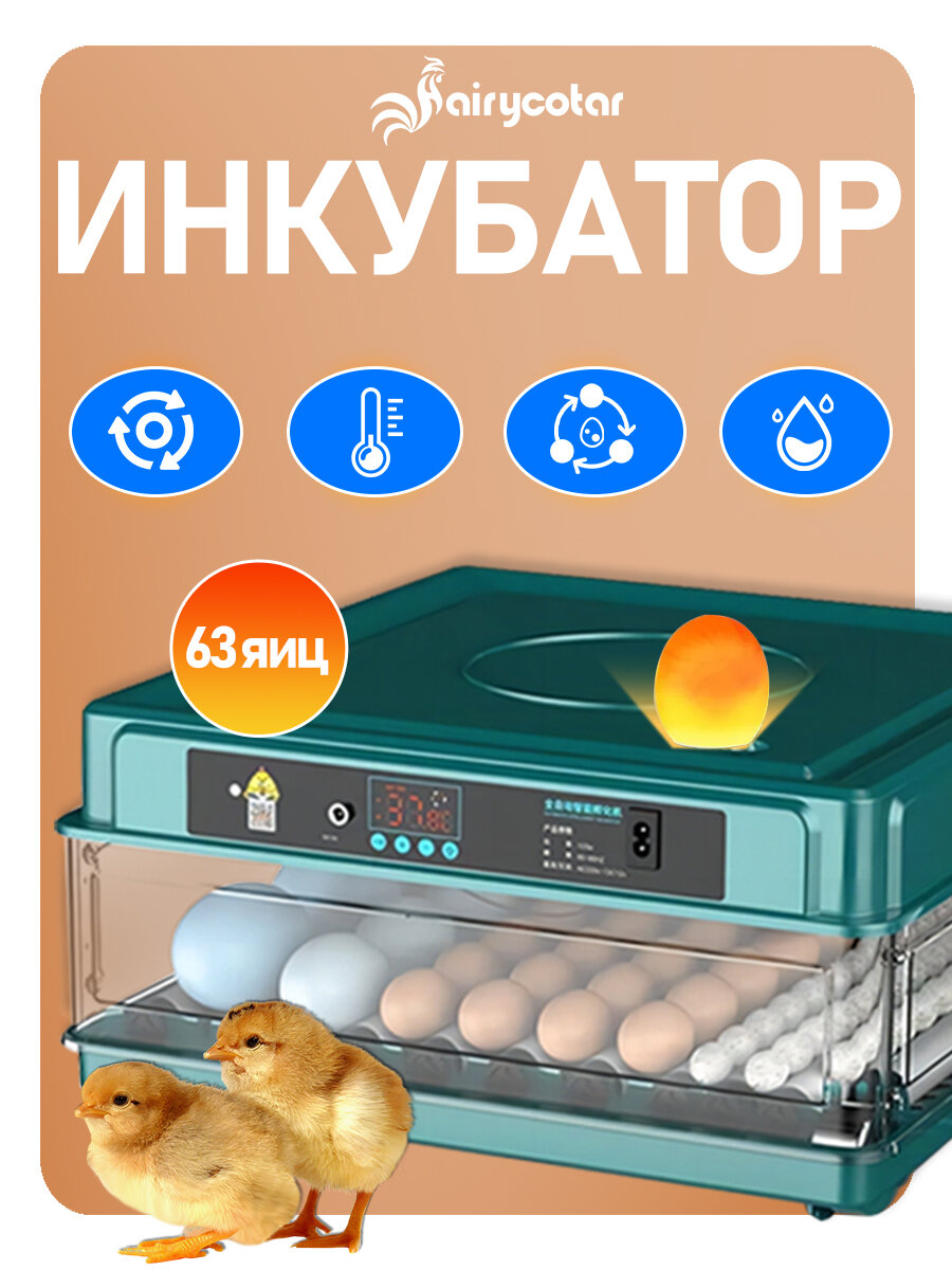 Hairycotar G64 Инкубатор для яиц автоматический терморегулятором, овоскопом, автоповоротом на 64 куриных, 150 перепелиных, 42 утиных/индюшиных, 32 гусиных яиц 220B/12V