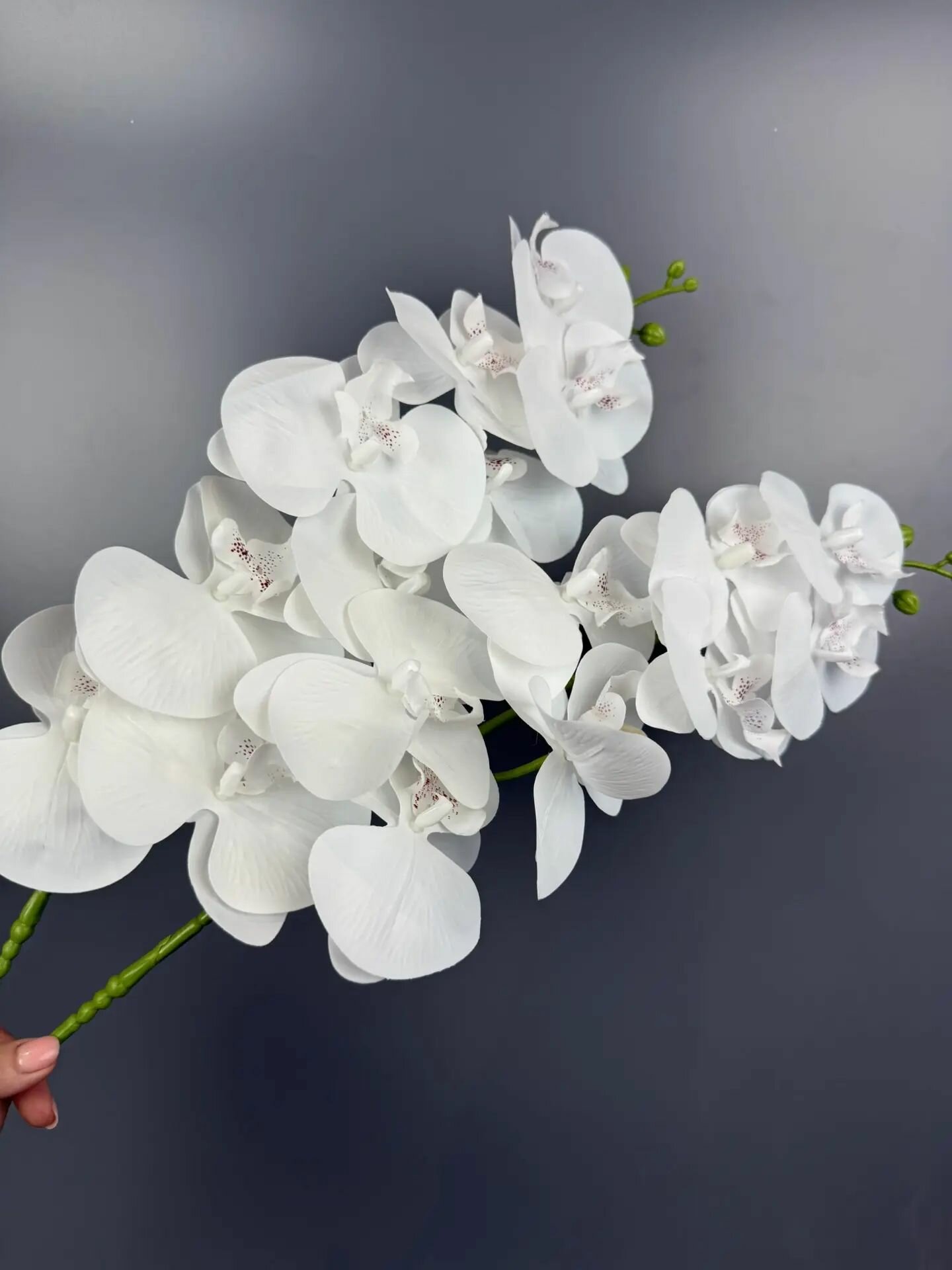 Искусственные цветы премиум для кашпо декора и интерьера Орхидея 3D латекс белая 95 см 2 ветки