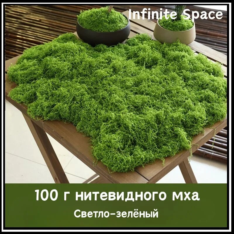 Стабилизированный мох Мох, 1 шт