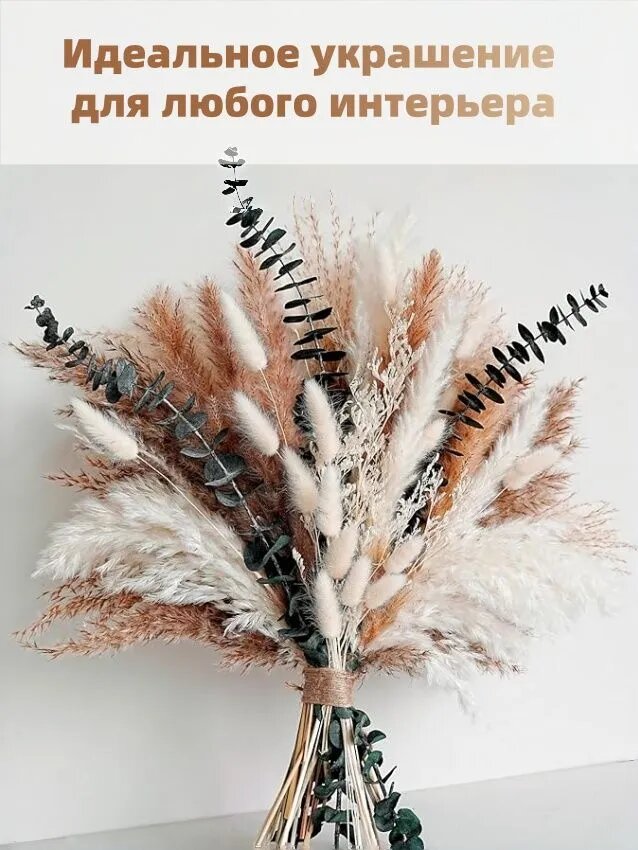 Сухоцветы Пампасная трава, 43 см, 160 гр, 1 шт