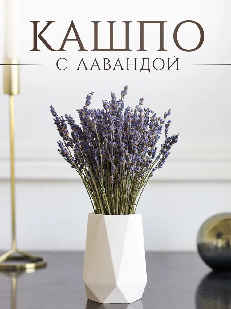 Сухоцветы Лаванда, букет Крымской Лаванды, 21 см, 280 гр, 1 шт, сбор 2024