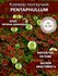 Клевер ползучий Pentaphyllum