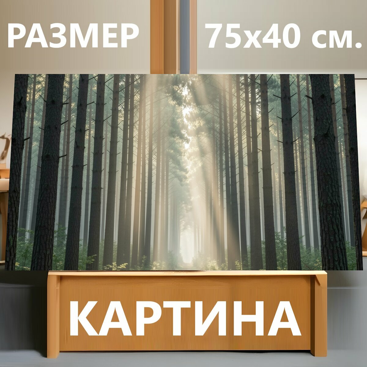 Картина на холсте "Солнечные лучи в сосновом лесу. Высокие хвойные деревья вдоль лесной тропы, мягкий утренний туман и золотистые световые." на подрамнике 75х40 см. для интерьера