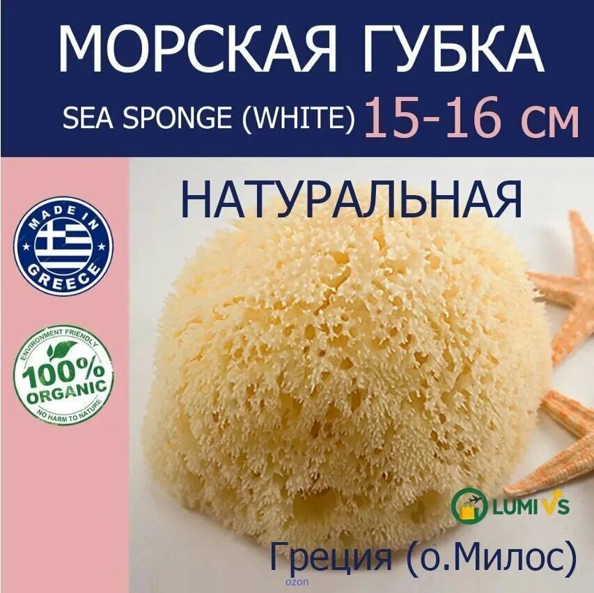 Губка морская натуральная, 8-9см W-7 Греция