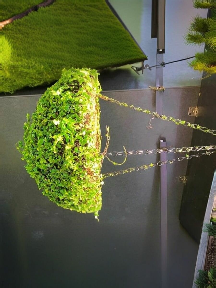 Кашпо для цветов "Сфагнум" с кокосовым волокном, подвесное d 24см, листики