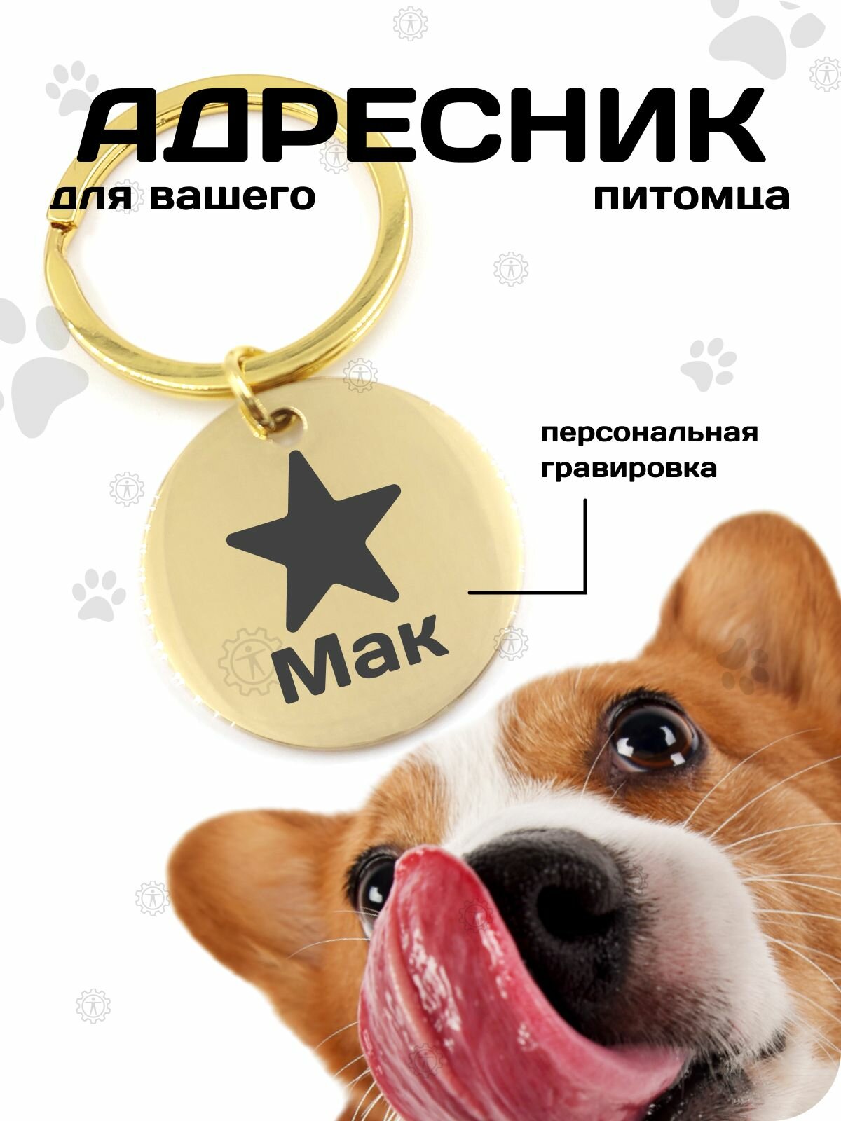 Адресник с гравировкой для собак "Круг", на ошейник, 30 мм x 30 мм, золотой