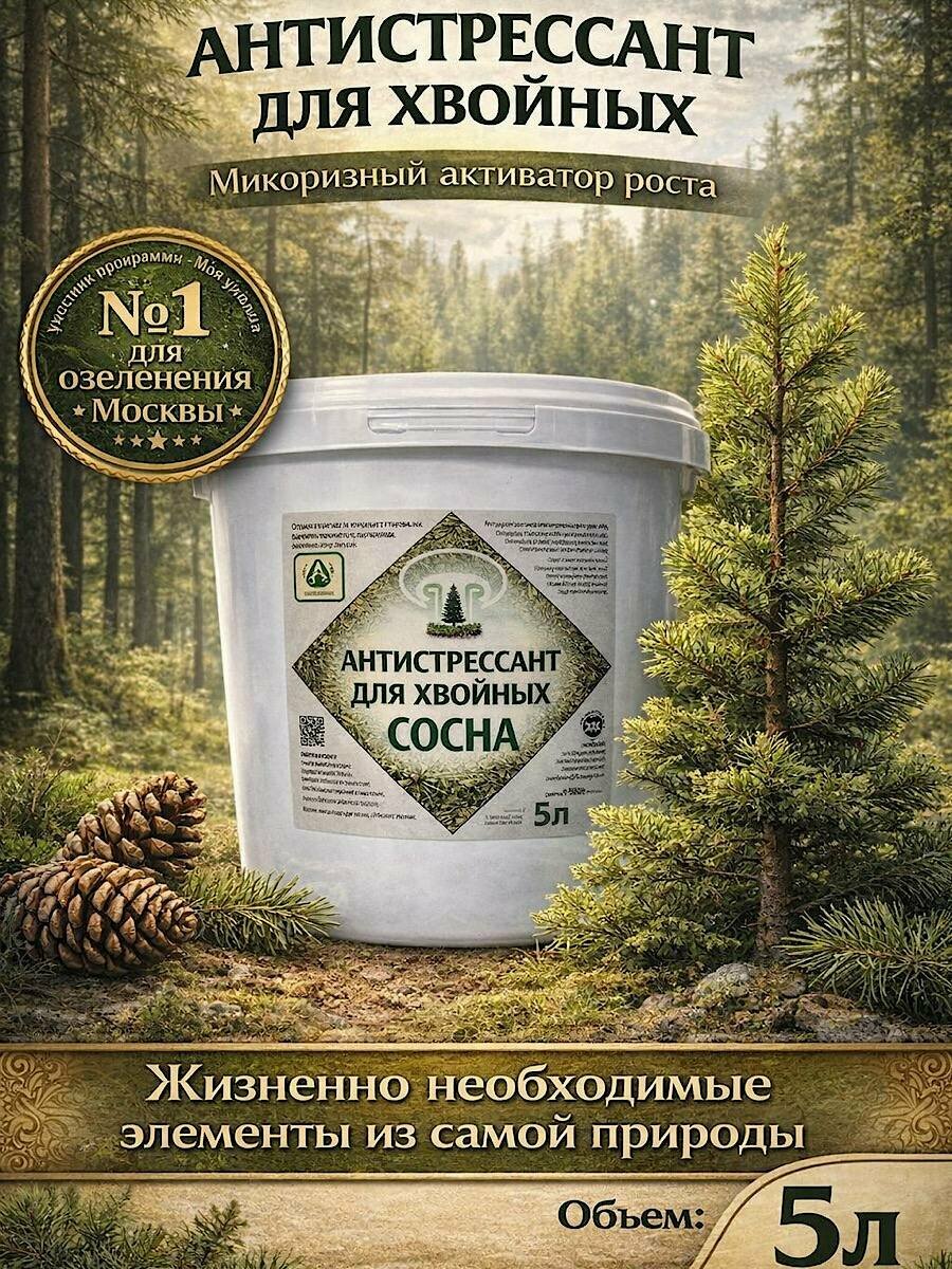 Удобрение для хвойных растений, микориза для корней Сосны. Микобакс