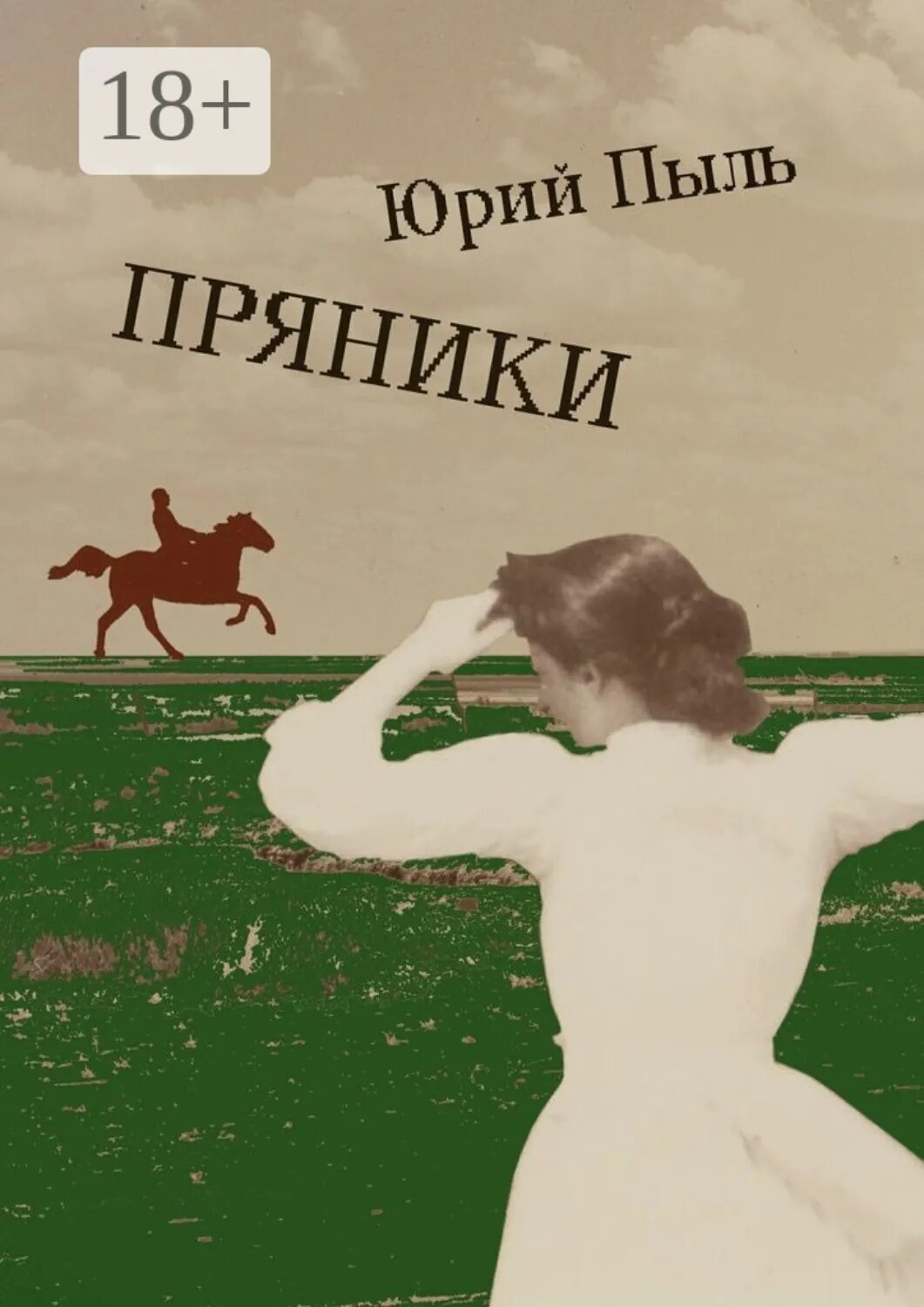 Пряники. Рассказы [Цифровая книга]