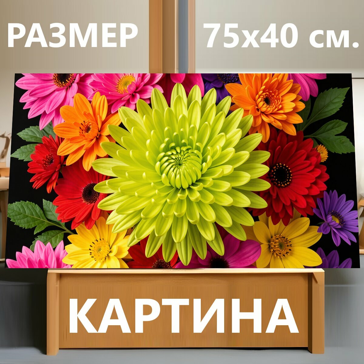 Картина на холсте "Яркий букет разноцветных хризантем. Пышная композиция из крупных садовых цветов в неоновых оттенках: розовый, жёлтый." на подрамнике 75х40 см. для интерьера