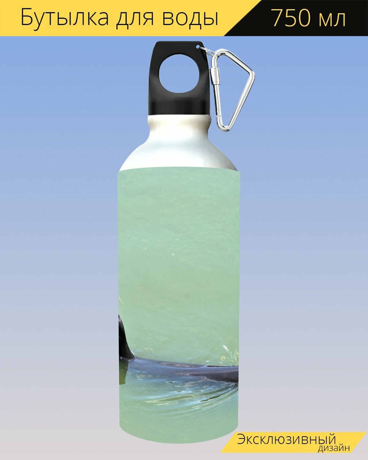 Бутылка фляга для воды "Подводная лодка модель в пруду подводная лодка модель в пруду подводная лодка судно морская модель вода затопление" 750 мл. с карабином и принтом