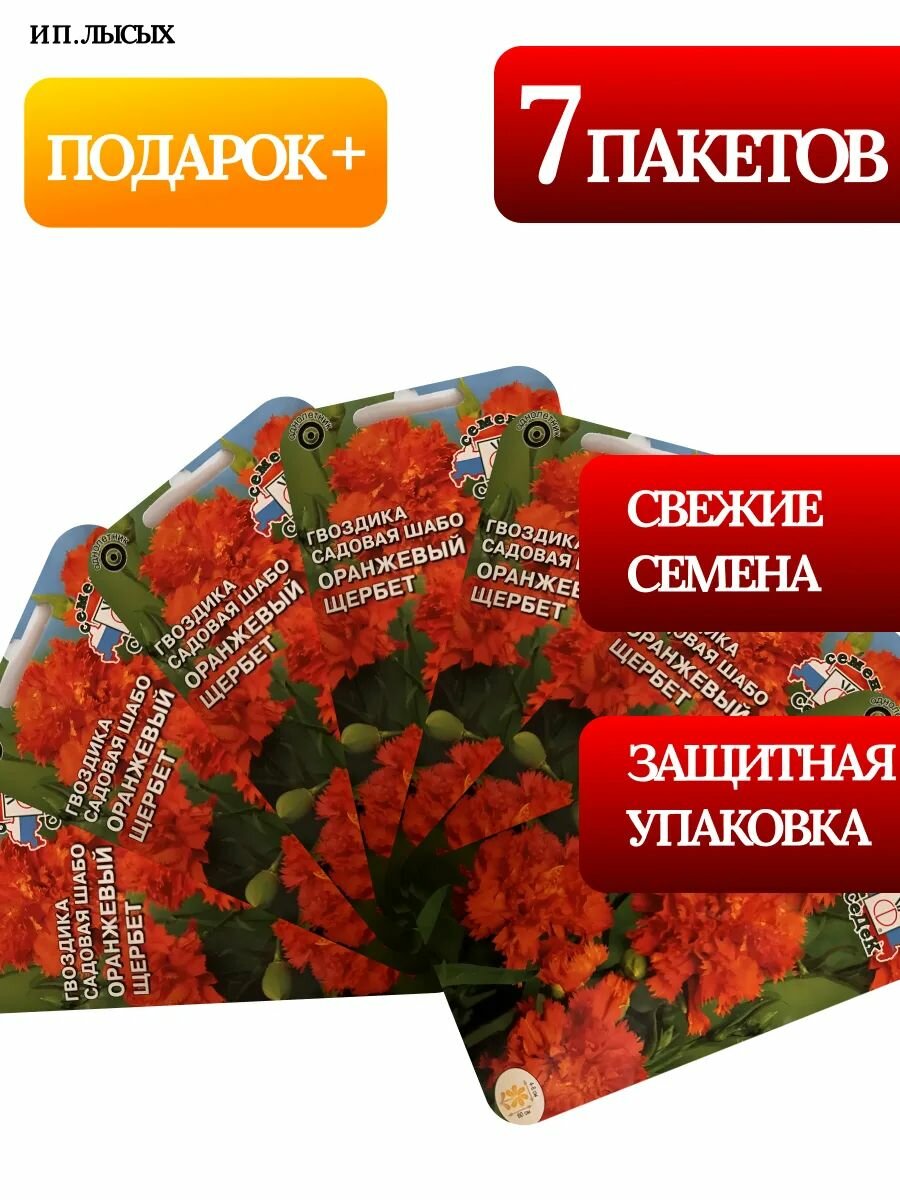 Семена Гвоздика "Оранжевый Щербет"