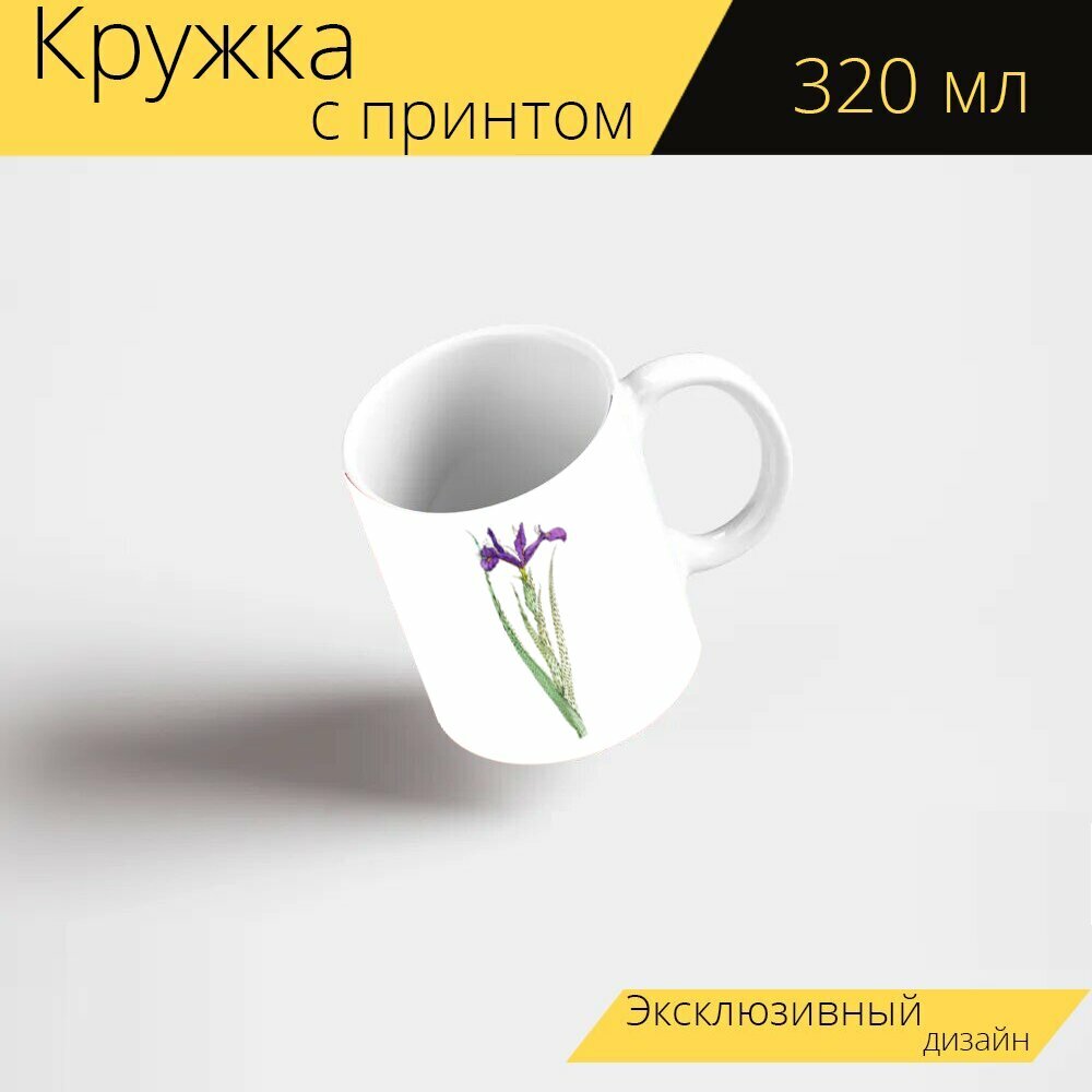Кружка с рисунком, принтом "Одноместный ирис Винтажная цветная иллюстрация на прозрачном фоне Ирис цветок завод цветение ботаника сад природа марочный отрезать" 320 мл.