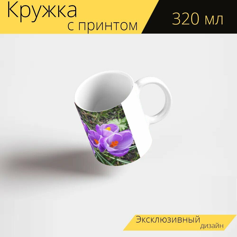 Кружка с рисунком, принтом "Крокус, фиолетовый, луковицы цветов" 320 мл.