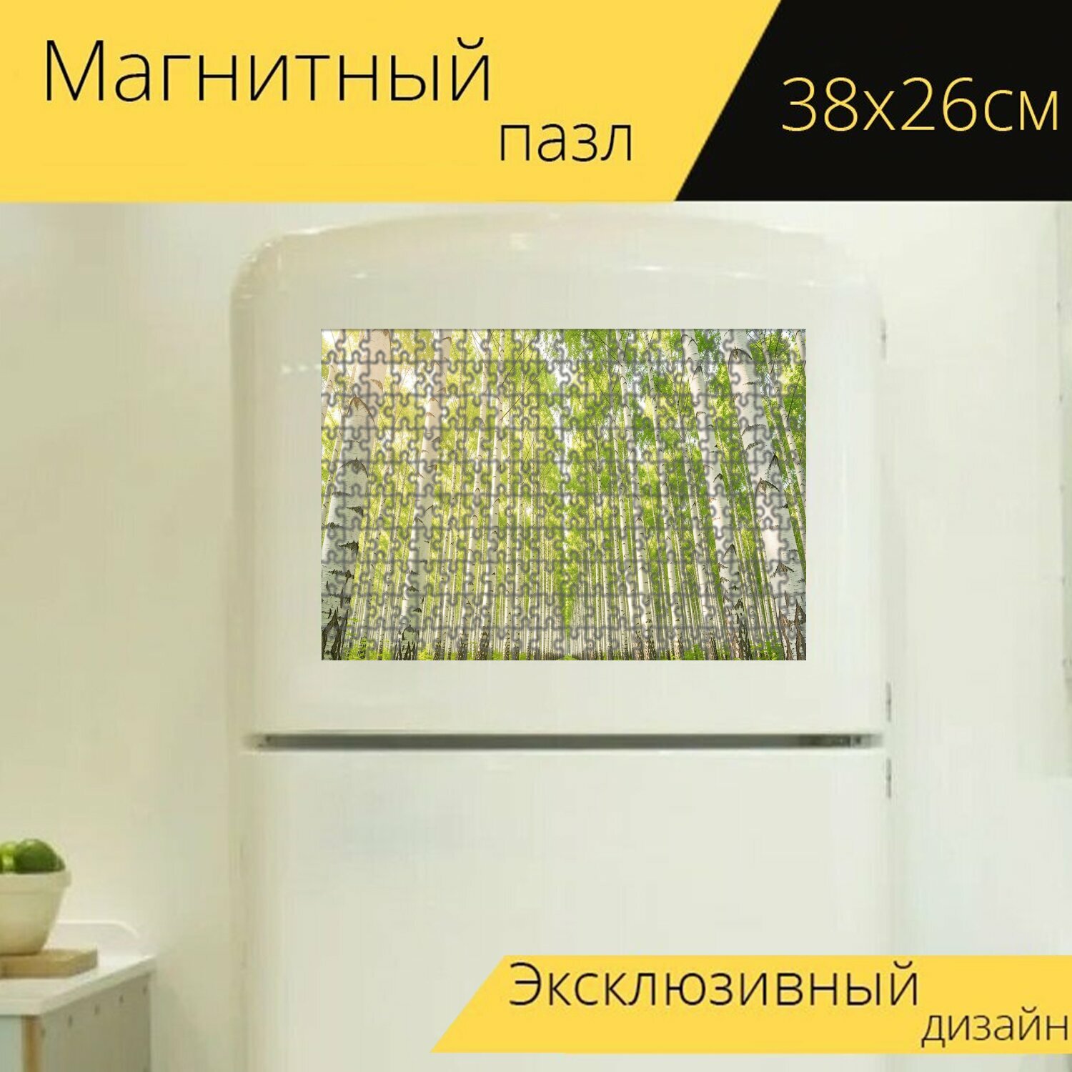 Магнитный пазл "Солнечный березовый лес. Панорамный пейзаж с высокими белоствольными деревьями и яркой молодой листвой, зеленая лесная тропинка, мягкий." для интерьера, 38х26 см.