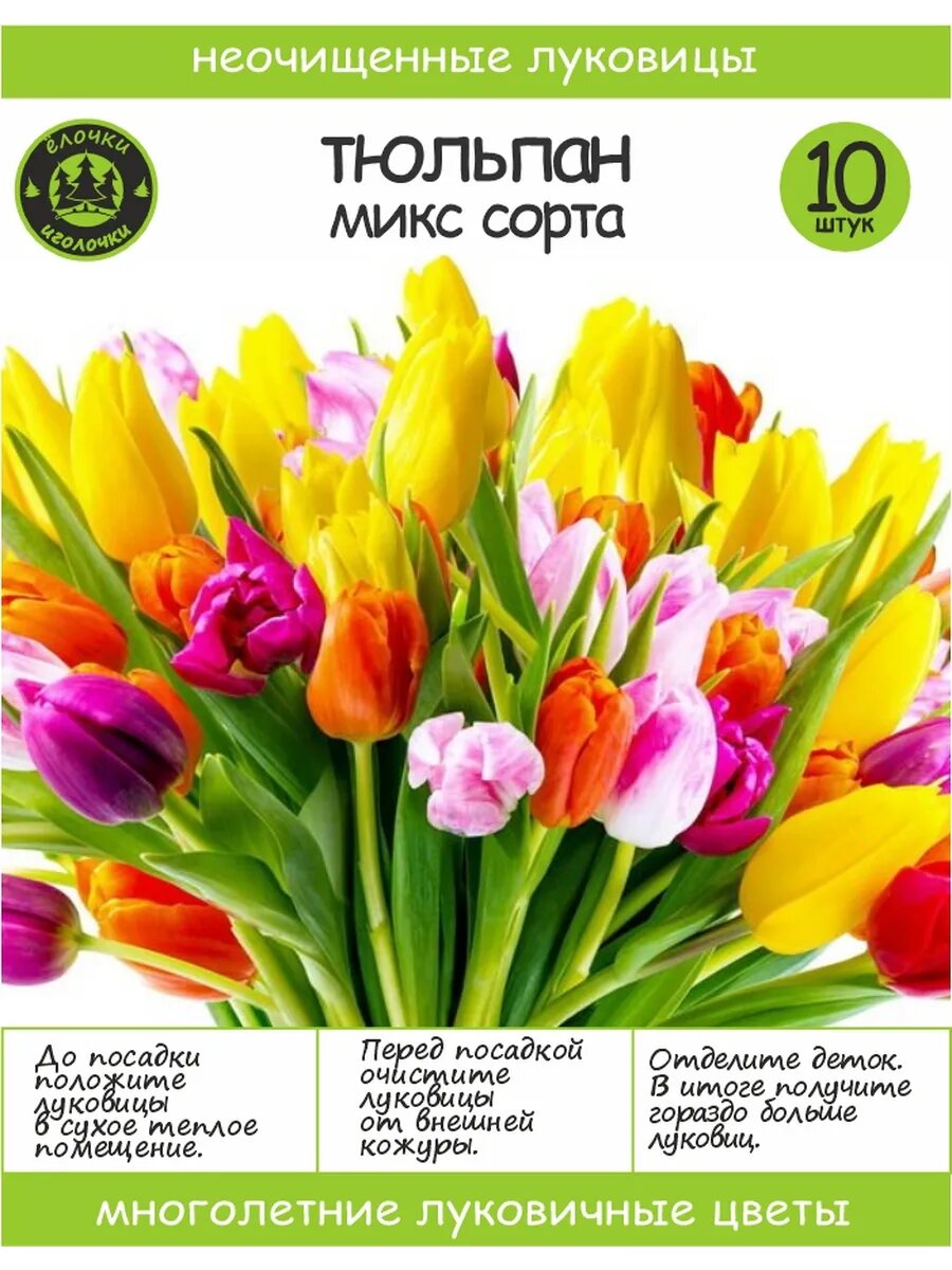 Тюльпан Луковицы неочищенные, Микс сортов, 10шт