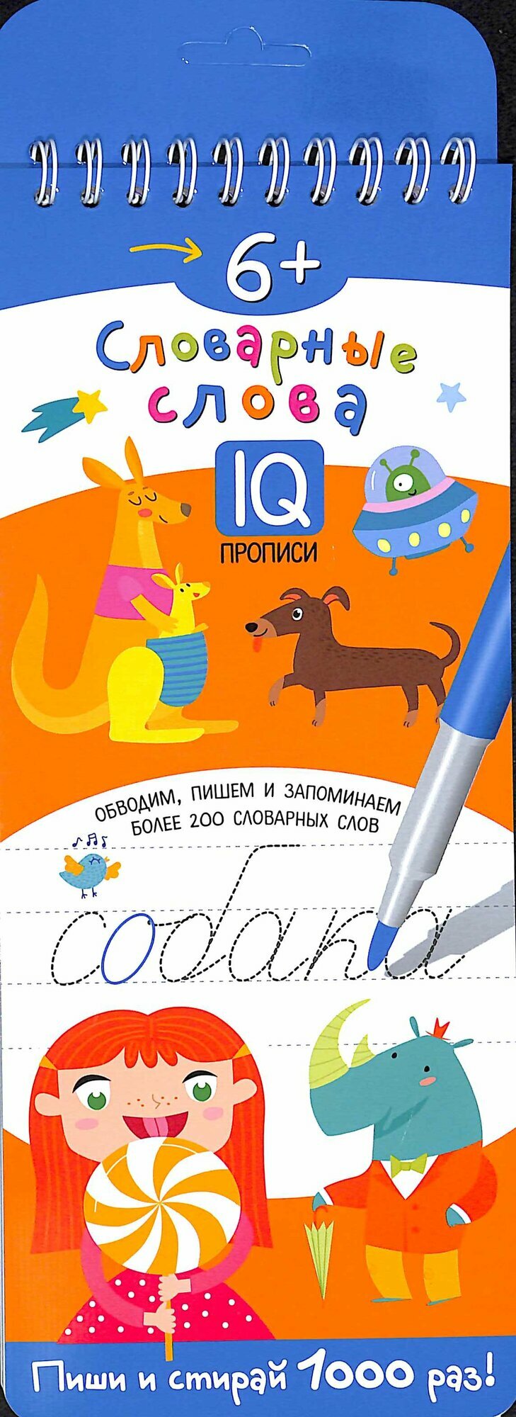 Многоразовые прописи на пружинке. 6+ Словарные слова.