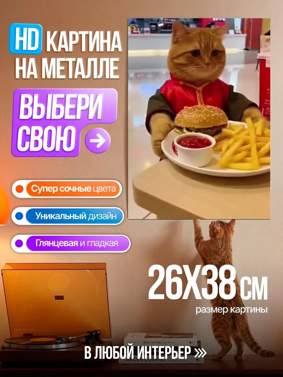 Картина на HD металле Кот с бургером