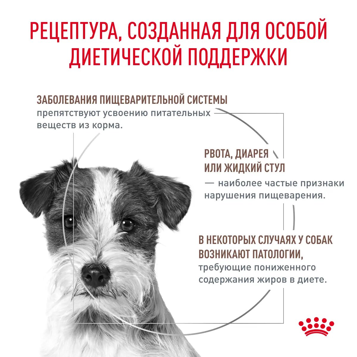 Royal Canin Dog VD Gastro Intestinal Low Fat LF 22 Сухой корм для собак мелких пород с нарушениями пищеварения, 1 кг
