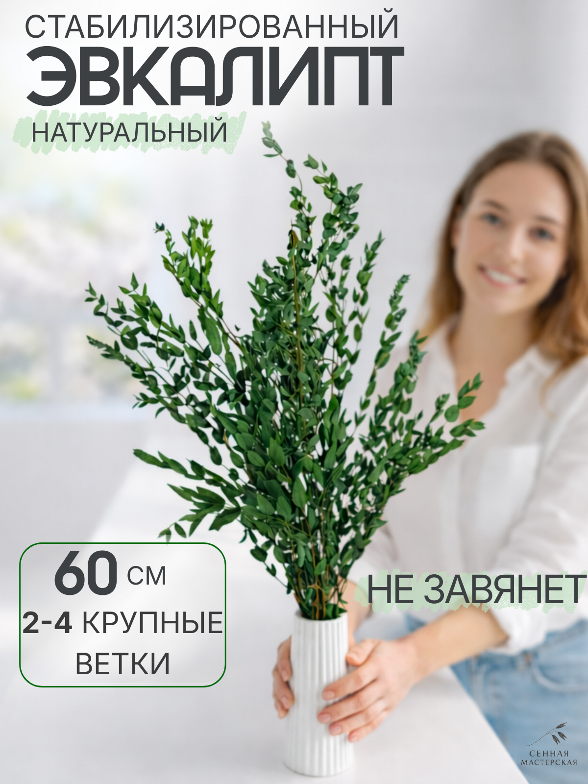 Стабилизированные цветы, эвкалипт стабилизированный, парвифолия зеленый. Сухоцветы для декора. 60 см