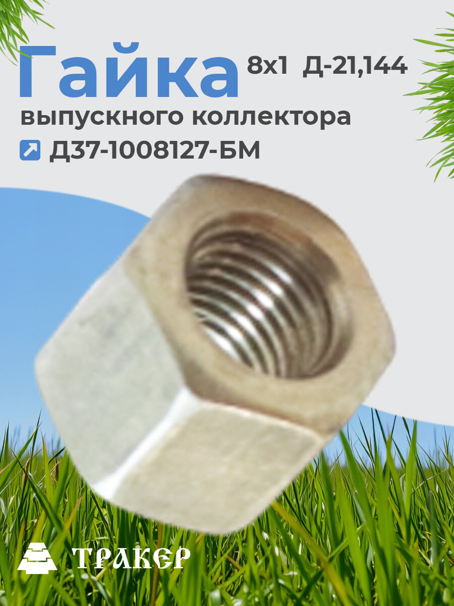 Гайка выпускного коллектора Д37-1008127-Б высокая М8х1 (латунь)