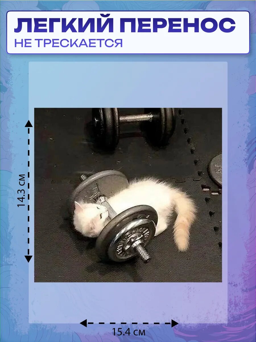 Термонаклейка meme cat — фото 1