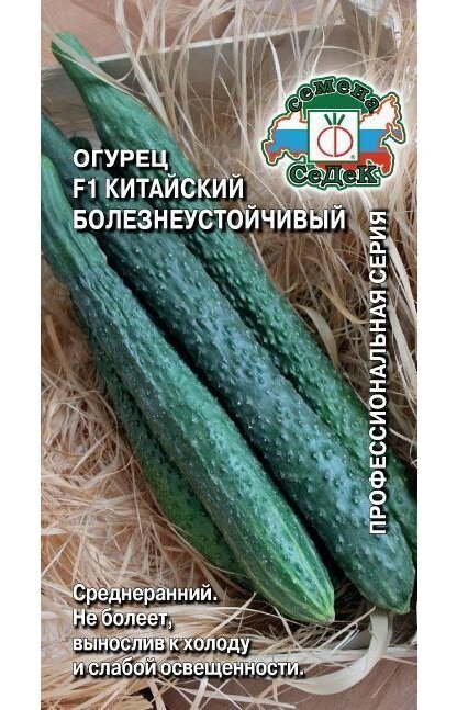 Семена огурца Семена СеДек салатный длинноплодный, Китайский Болезнеустойчивый F1, 0,2 г
