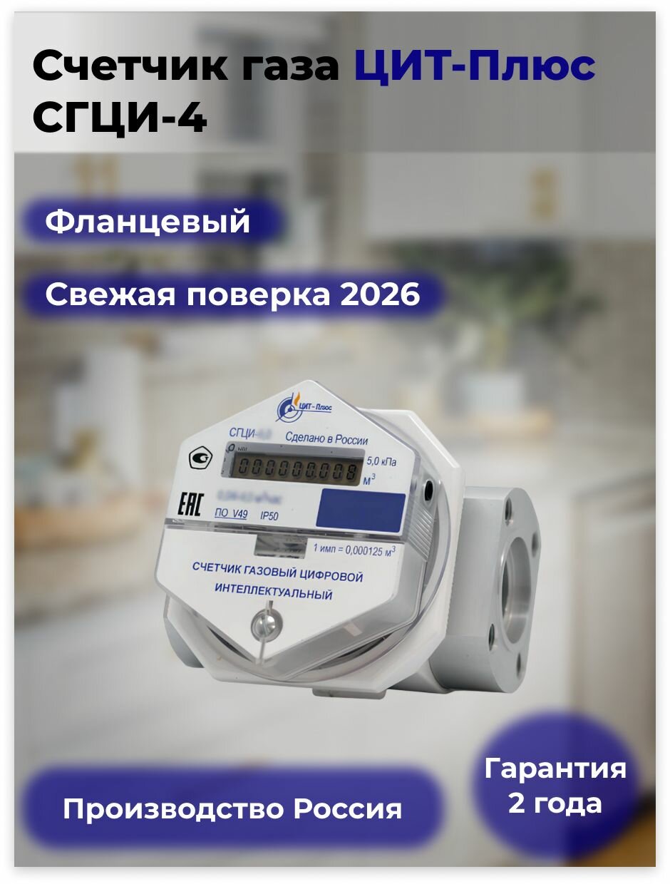 Счетчик газовый СГЦИ-4-20/Ф фланцевый (Dn20)