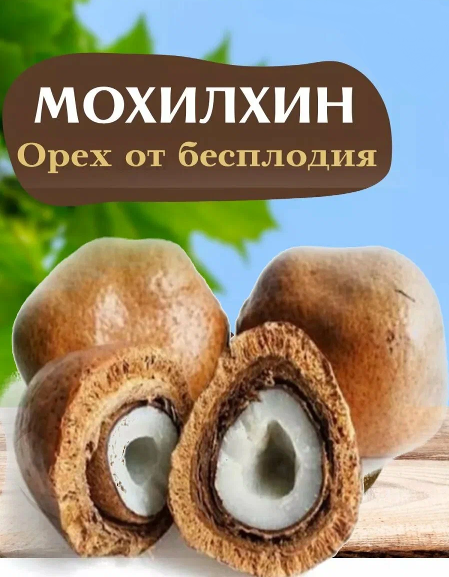 Мекканский арабский орех Мохилхин для помощи при бесплодии, 6шт.
