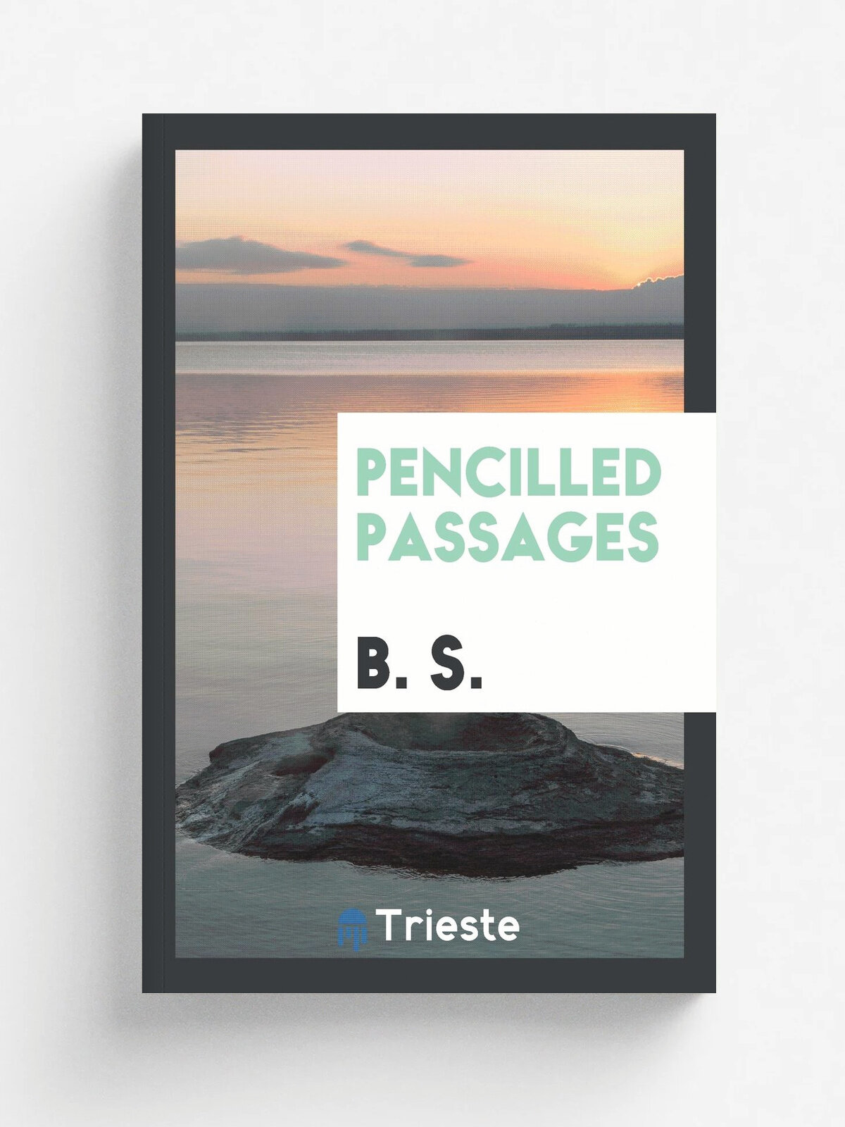 Pencilled Passages