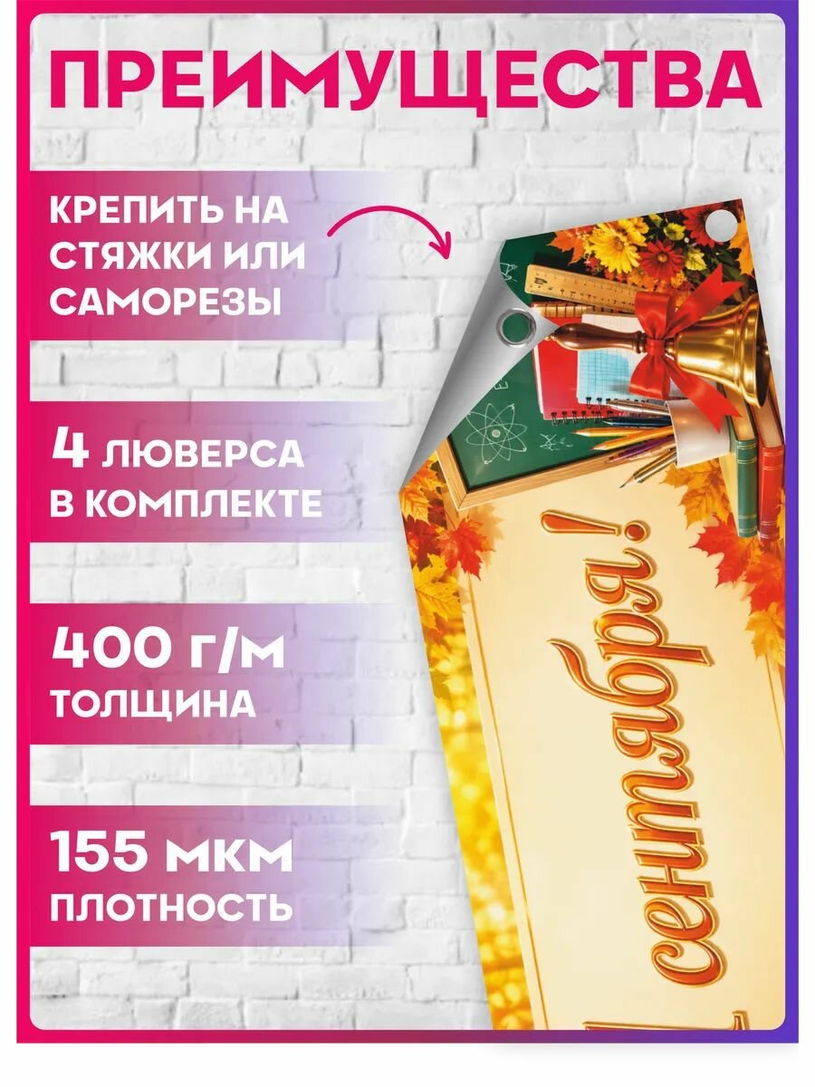 Баннер 1 сентября — фото 1