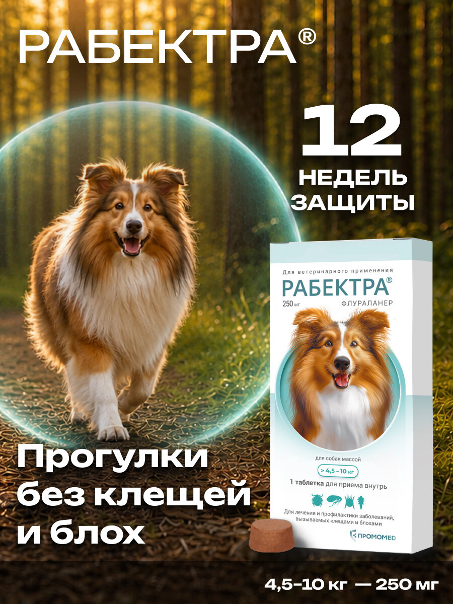 Рабектра 250мг таблетка для собак весом 4,5-10 кг, 1таб в упаковке от клещей